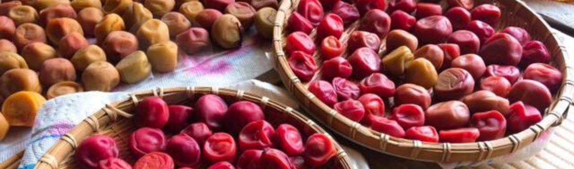 Ume Plums – Six Health Benefits You Must Know – BIOe Online